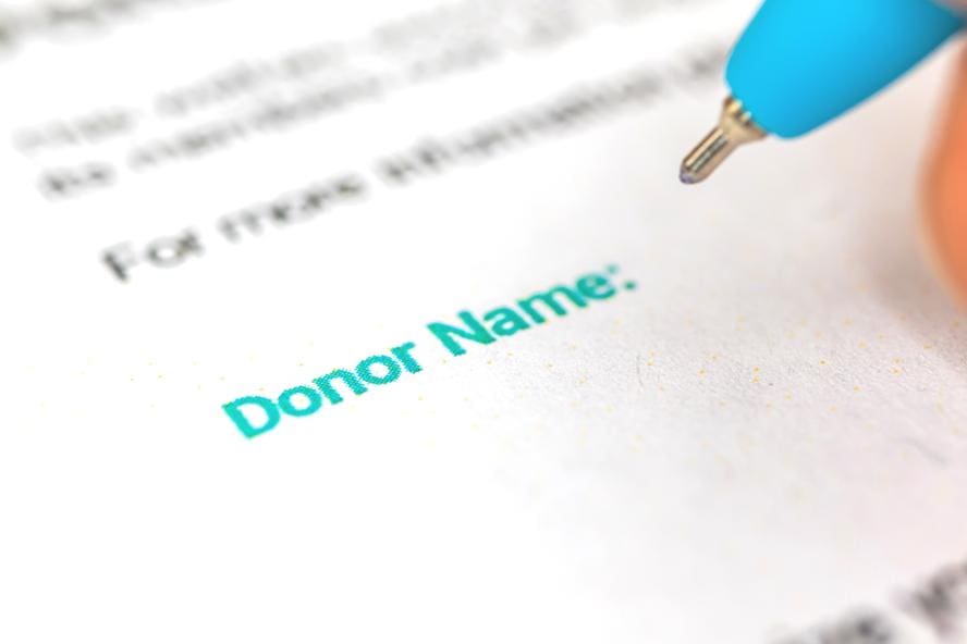 What Every Prospective Living Kidney Donor Should Know - The Hastings ...