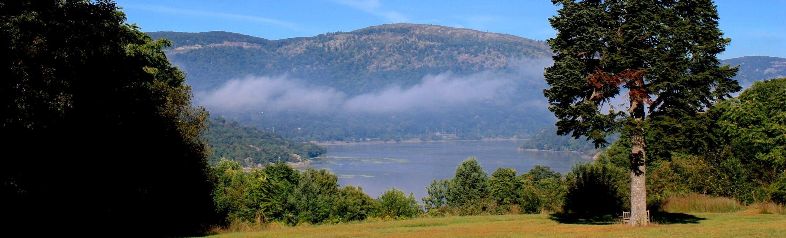 Our Financials - The Hastings Center for Bioethics