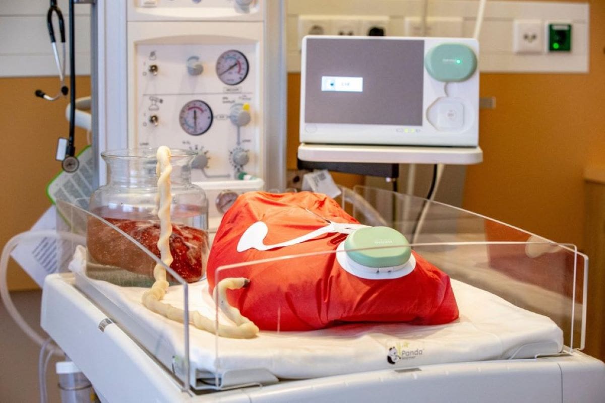 Ravitsky Discusses Ethics of Artificial Wombs on NPR’s “All Things ...