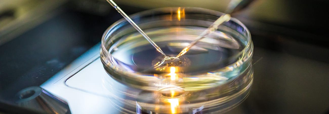 Human Embryo Research Beyond 14 Days? International Perspectives - The ...